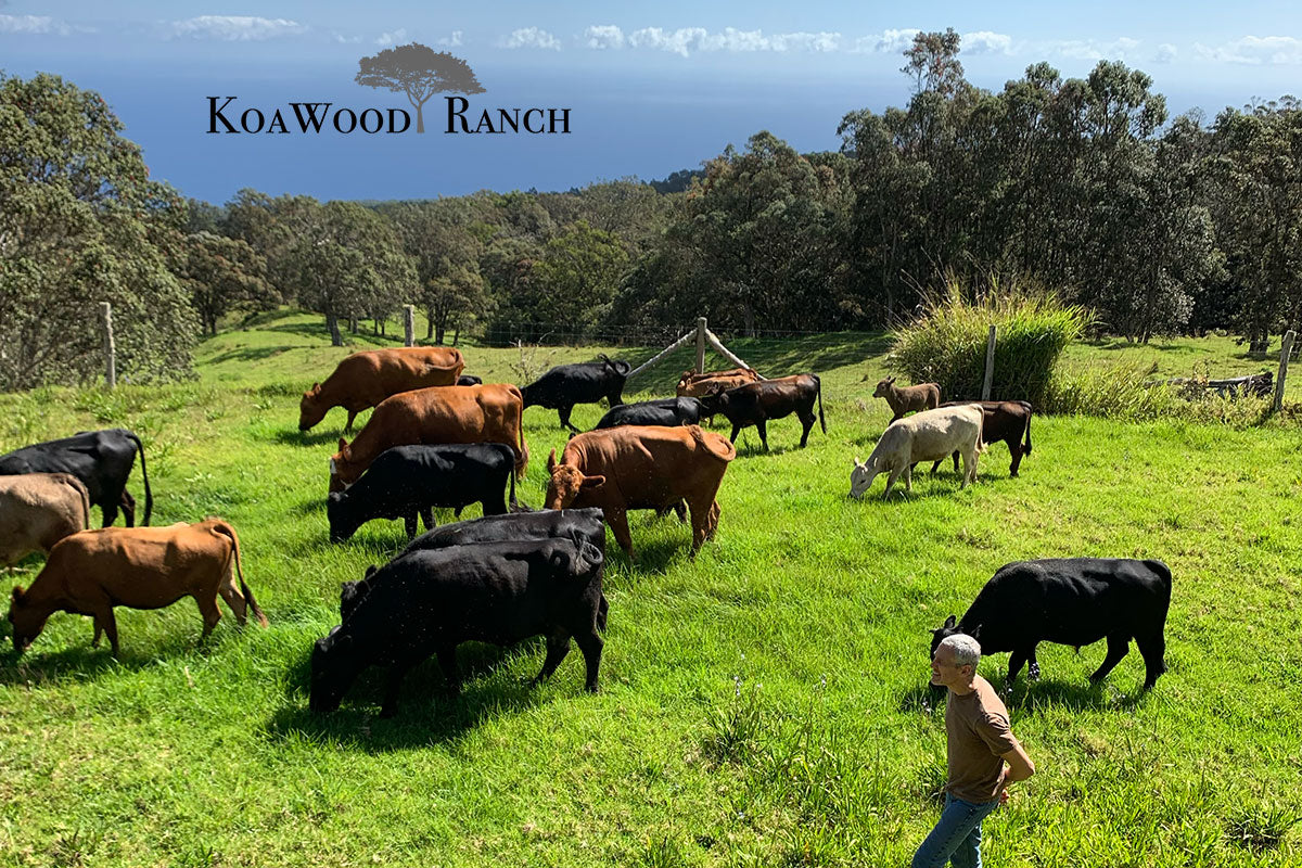 Spooner Spotlight: KoaWood Ranch – Reyn Spooner